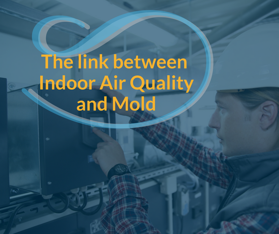 IAQ and Mold in NYC Buildings: Are Kids at Risk?